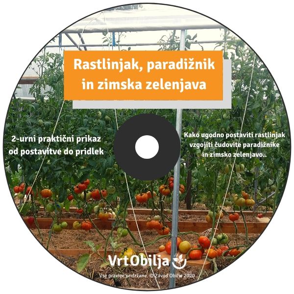 Rastlinjak, paradižnik in zimska zelenjava 2-urni prikaz - Vrt Obilja